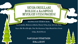 copy1 at emaze Presentation