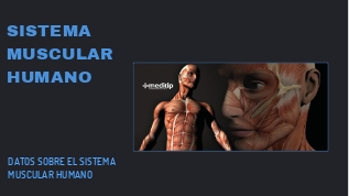 Dream at emaze Presentation