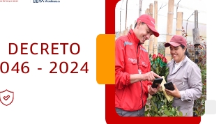 Decreto at emaze Presentation