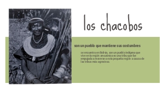 los chacobos at emaze Presentation