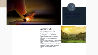 Company Overview at emaze Presentation