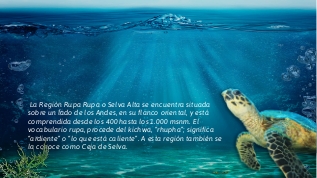 Selva Alta (Rupa-Rupa) at emaze Presentation