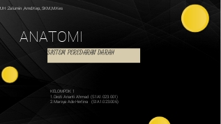 ppt anatomi at emaze Presentation