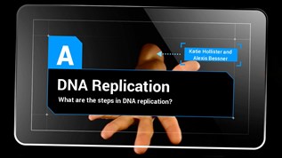 DNA Replication 101 at emaze Presentation