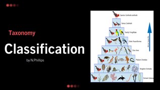 Classification at emaze Presentation