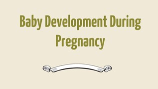 Baby Development at emaze Presentation