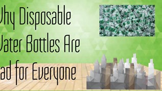 Why Disposable Water is bad for everyone at emaze Presentation