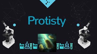 Protisty at emaze Presentation