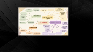 Prestigious Organization at emaze Presentation