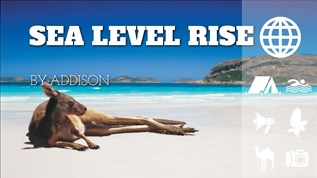 sae level rise at emaze Presentation