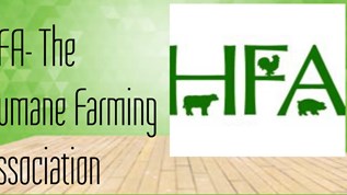 hfa at emaze Presentation