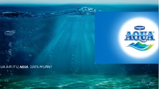 profile perusahaan Aqua Danone at emaze Presentation