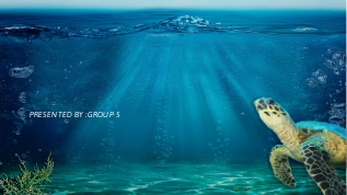 SULAM PROJECT:PROGRESS PRESENTATION at emaze Presentation