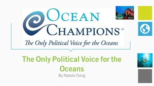 Ocean Champions at emaze Presentation