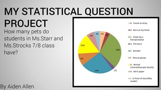 My Statistical Question Project at emaze Presentation