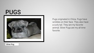 Pugs at emaze Presentation