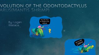 The Mantis Shrimp at emaze Presentation