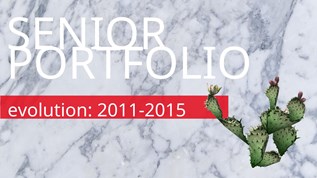 Senior Portfolio at emaze Presentation