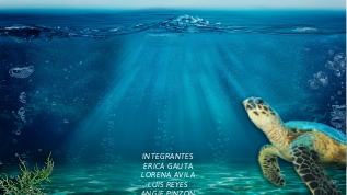 COSTURASSEGUN LANORMA ISO 4915 at emaze Presentation