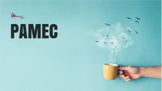 PAMEC at emaze Presentation