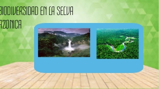 LA BIODIVERSIDAD EN LA SELVA AMAZONICA at emaze Presentation