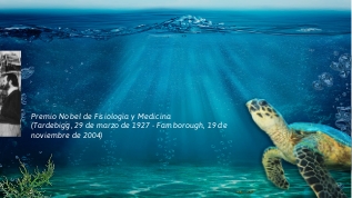 John Vane at emaze Presentation