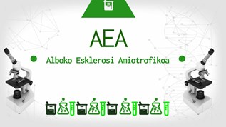 AEA at emaze Presentation