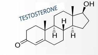 Testosterone at emaze Presentation