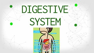 DIGESTIVE SYSTEM at emaze Presentation