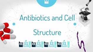 Antibiotics and Cell Structure at emaze Presentation