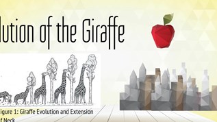 Evolution of the Giraffe at emaze Presentation