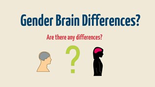 Gender Brain Differences? copy1 at emaze Presentation