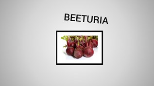 Presentation Name at emaze Presentation