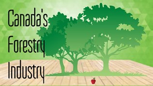 Canada's Forestry Industry copy1 at emaze Presentation