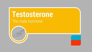 Testosterone at emaze Presentation