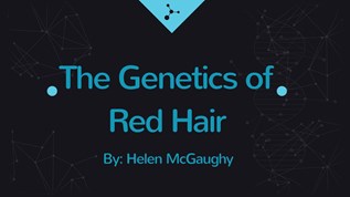 The Genetics of Hair at emaze Presentation