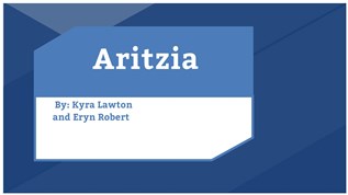 Aritzia Case Study at emaze Presentation