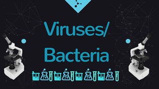 VirusesBacteria Clarissa Guerrero Bio Project at emaze Presentation