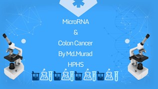 MicroRNA&Colon Cancer at emaze Presentation