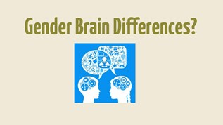 Gender Brain at emaze Presentation
