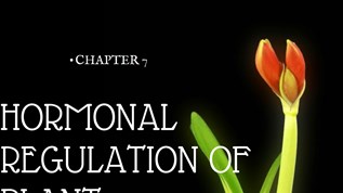 AGR519 CHAPTER 7.pptx at emaze Presentation