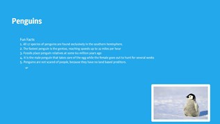 Penguin.pptx at emaze Presentation