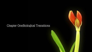 Chapter 1.pptx at emaze Presentation