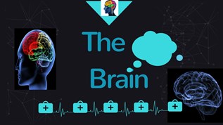 The Brain at emaze Presentation