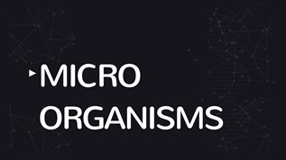 Presentation1.pptx at emaze Presentation