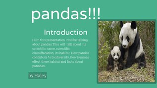 pandas! at emaze Presentation