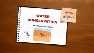 Water Conservation at emaze Presentation