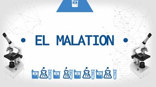 MALATION at emaze Presentation