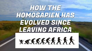 How the homosapien at emaze Presentation