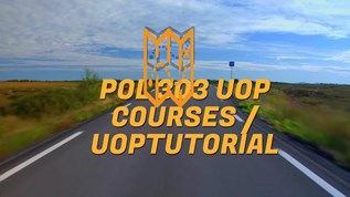 POL 303 UOP Courses uoptutorial at emaze Presentation